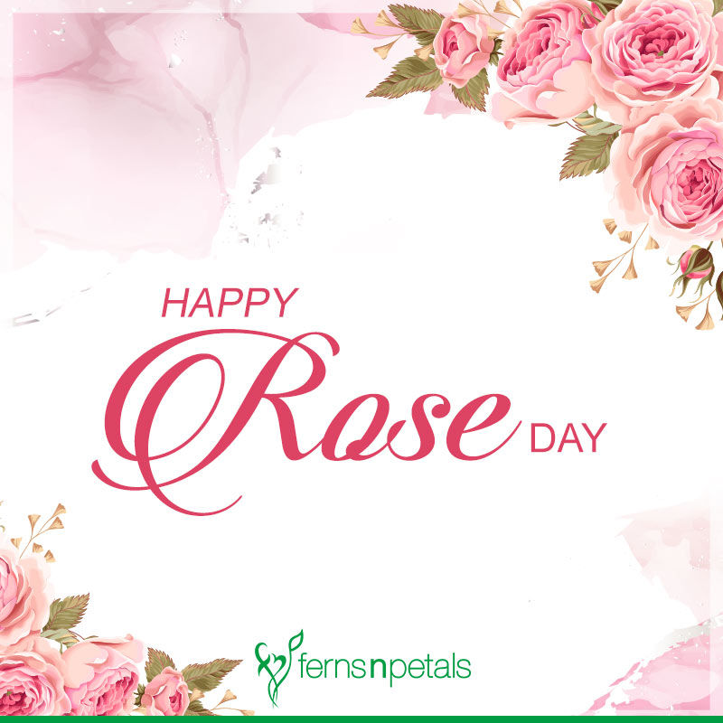 Rose Day Quotes for Boyfriend/Girlfriend | Rose Day Messages - FNP