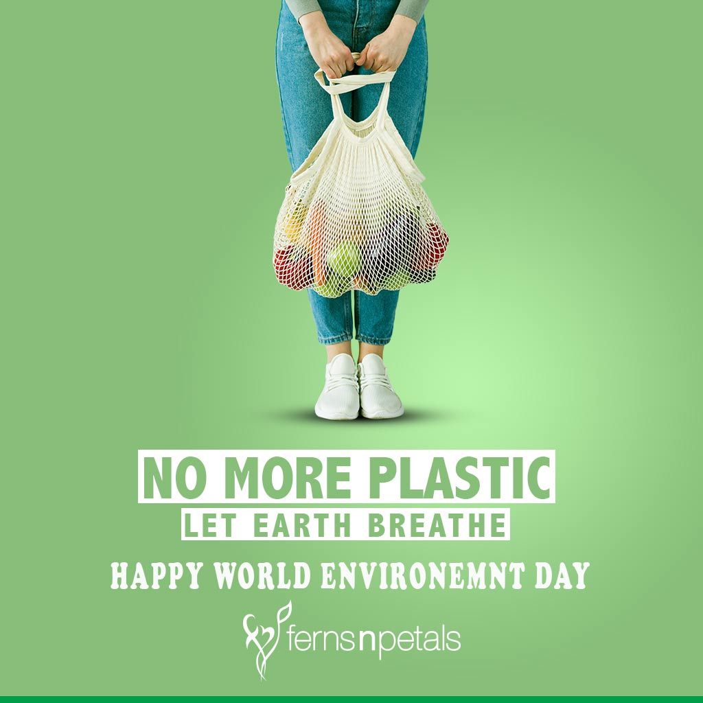 20+ Happy World Environment Day Quotes, Wishes, Slogan N Messages - FNP