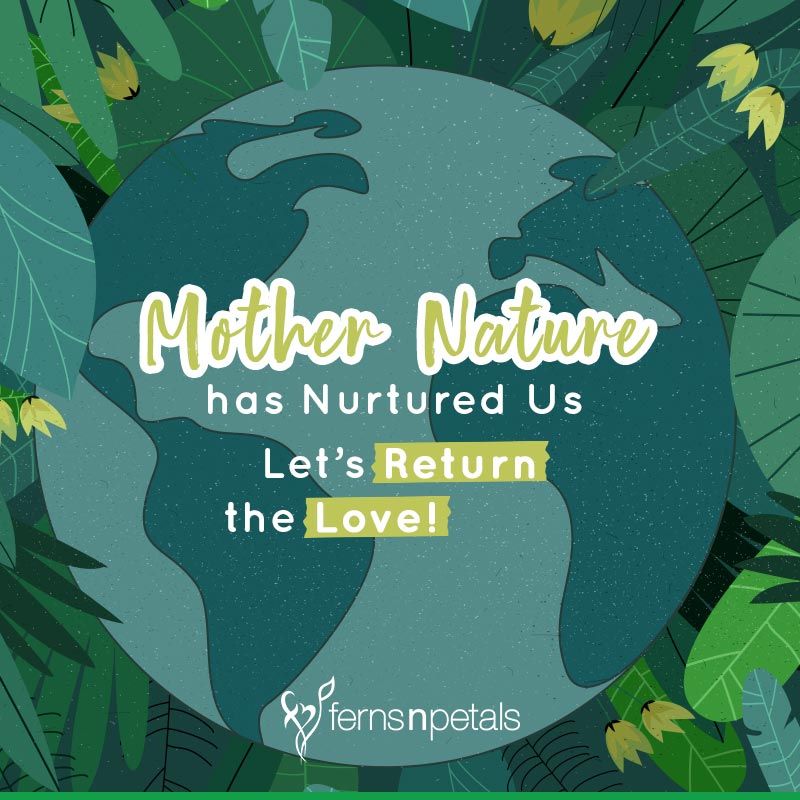 20+ Happy World Environment Day Quotes, Wishes, Slogan N Messages - FNP