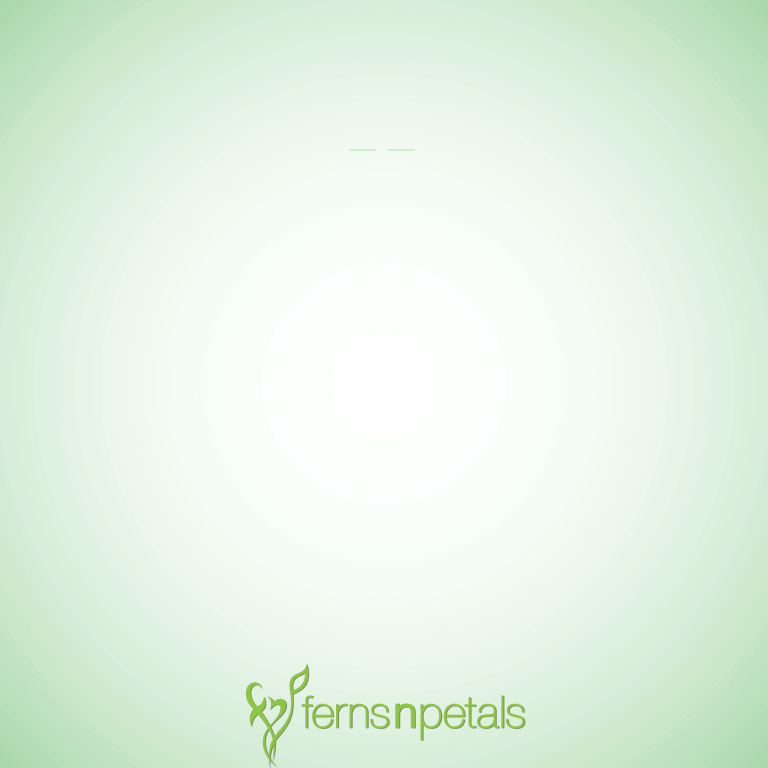 20+ Happy World Environment Day Quotes, Wishes N Messages - Ferns N Petals