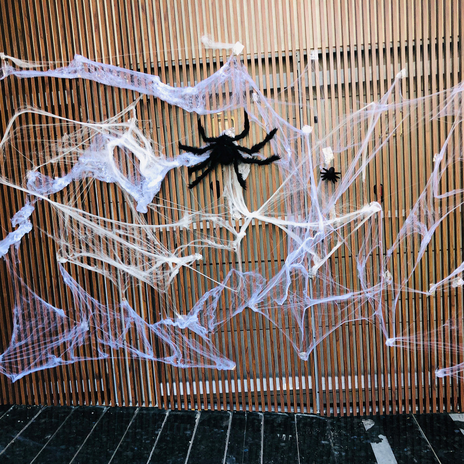 Online Spider Web Wall Gift Delivery in UAE - FNP