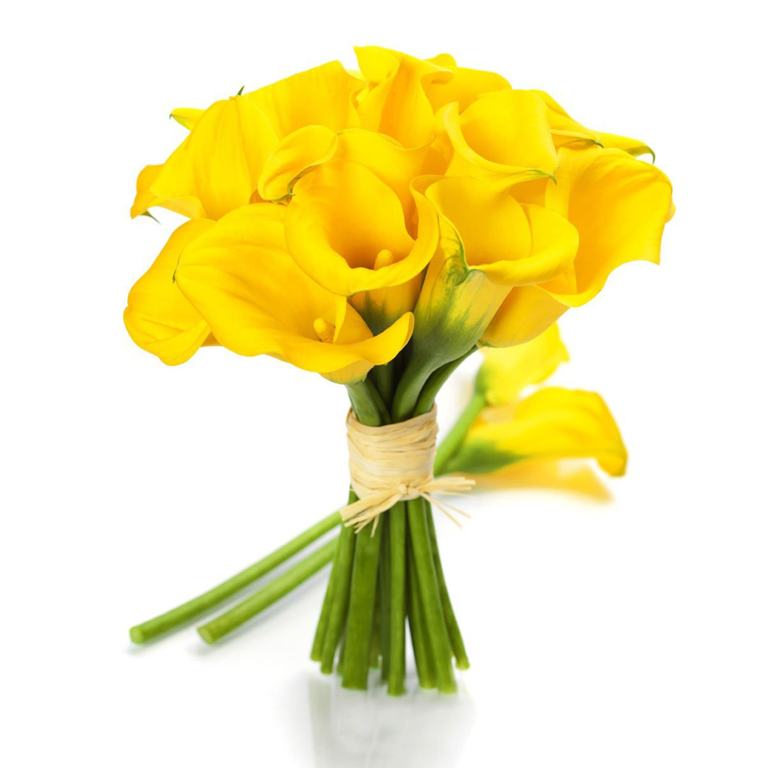 Online Classic Yellow Calla Lilies Bunch Gift Delivery in UAE - Ferns N ...